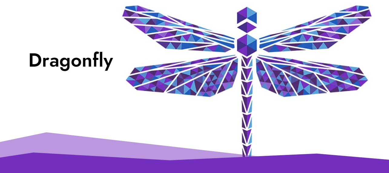 Dragonfly Project - Beechwood Junior School